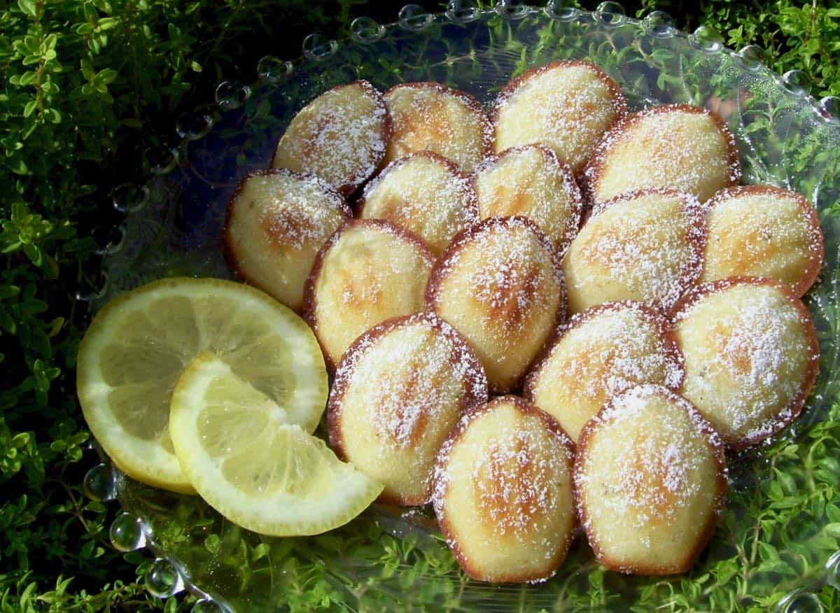 Lemon Madeleines - Good Grief Cook